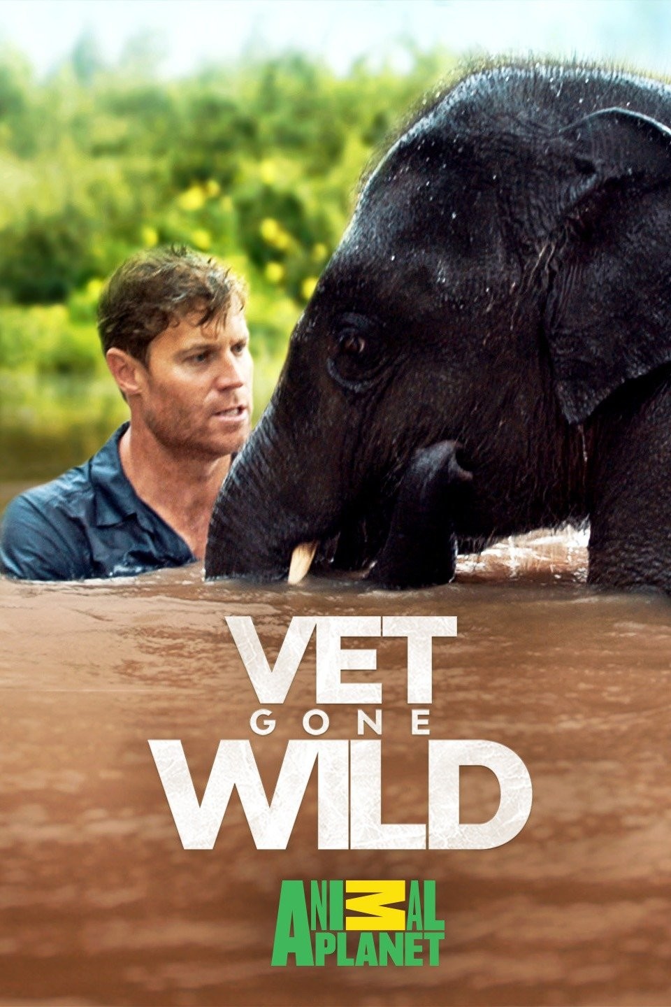 Vet Gone Wild Season 1 | Rotten Tomatoes