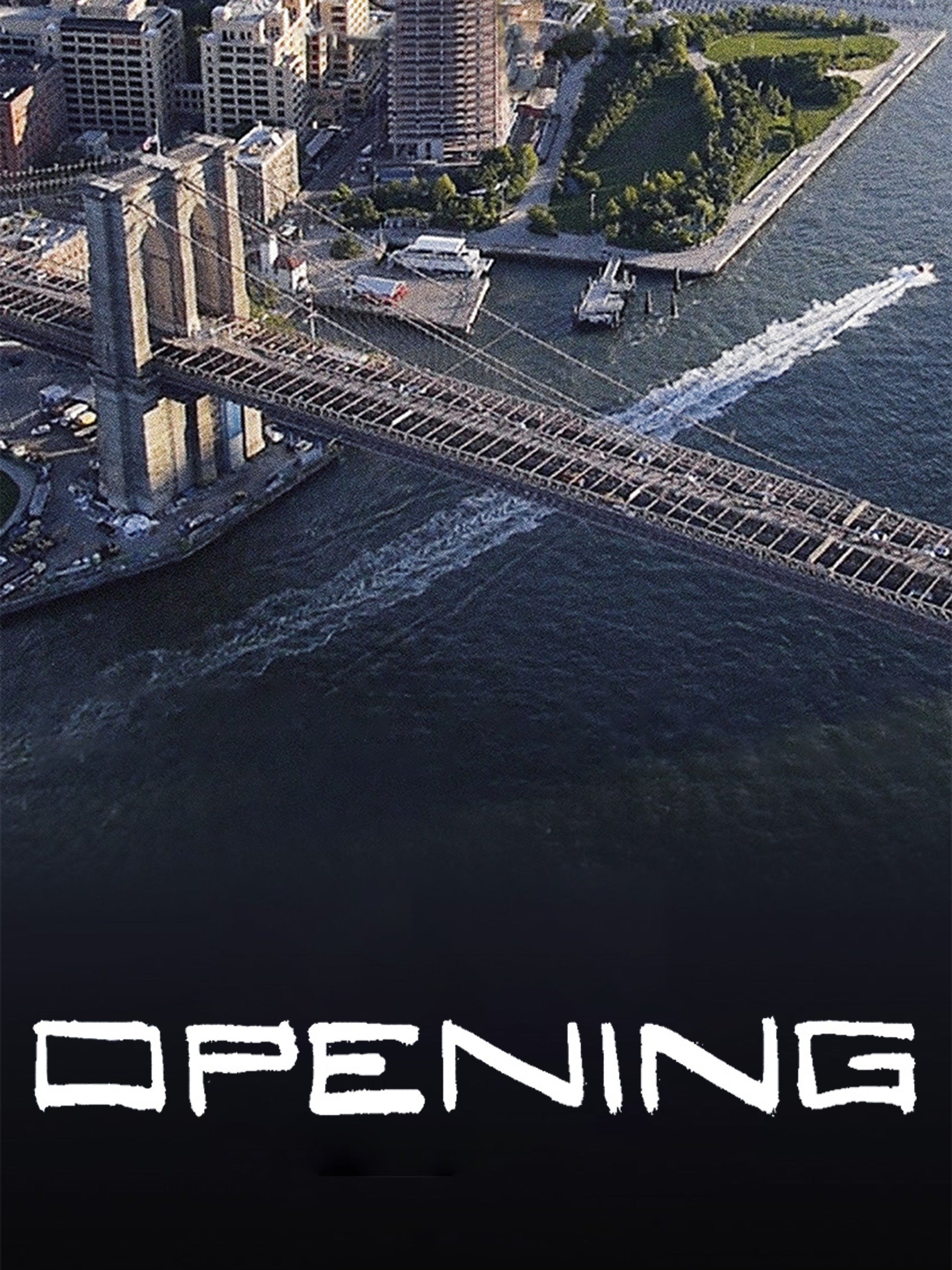 Opening Pictures | Rotten Tomatoes