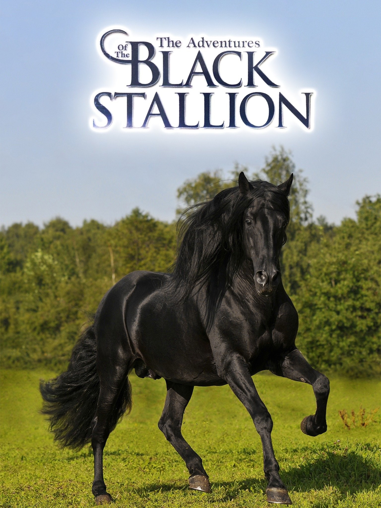 The Adventures of the Black Stallion Season 3 | Rotten Tomatoes