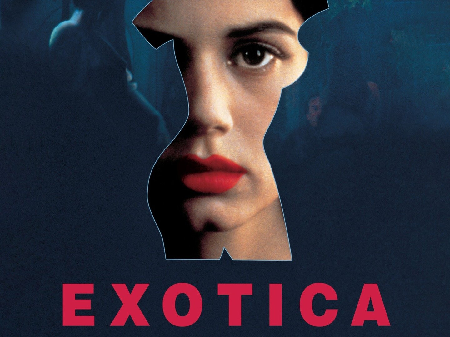 Susan Shipton's Instagram, Twitter & Facebook on IDCrawl