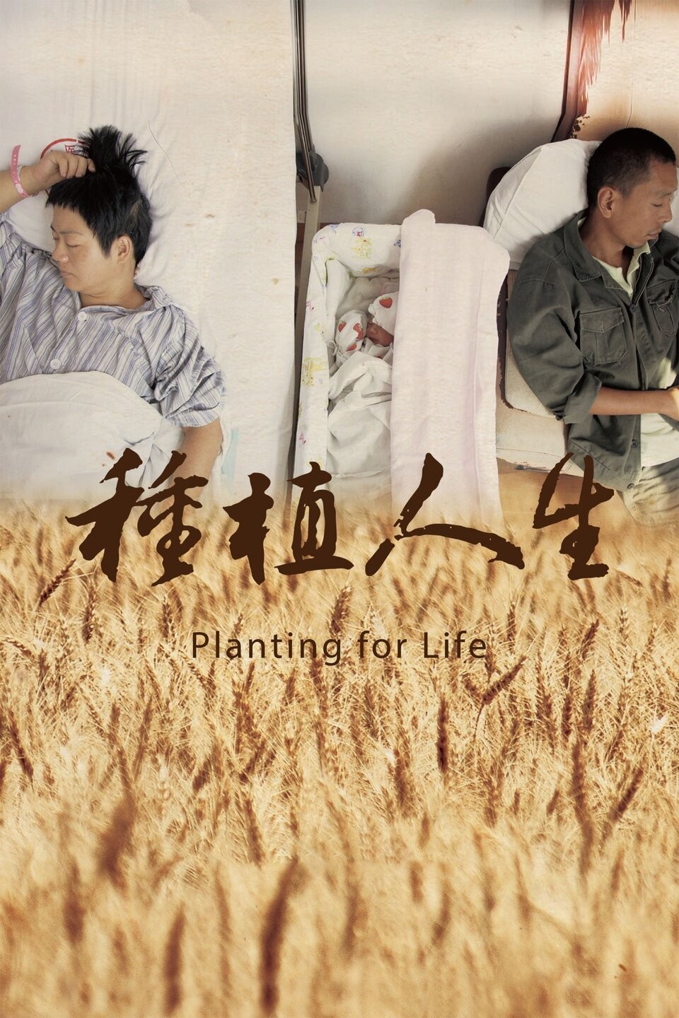 Planting for Life Pictures | Rotten Tomatoes