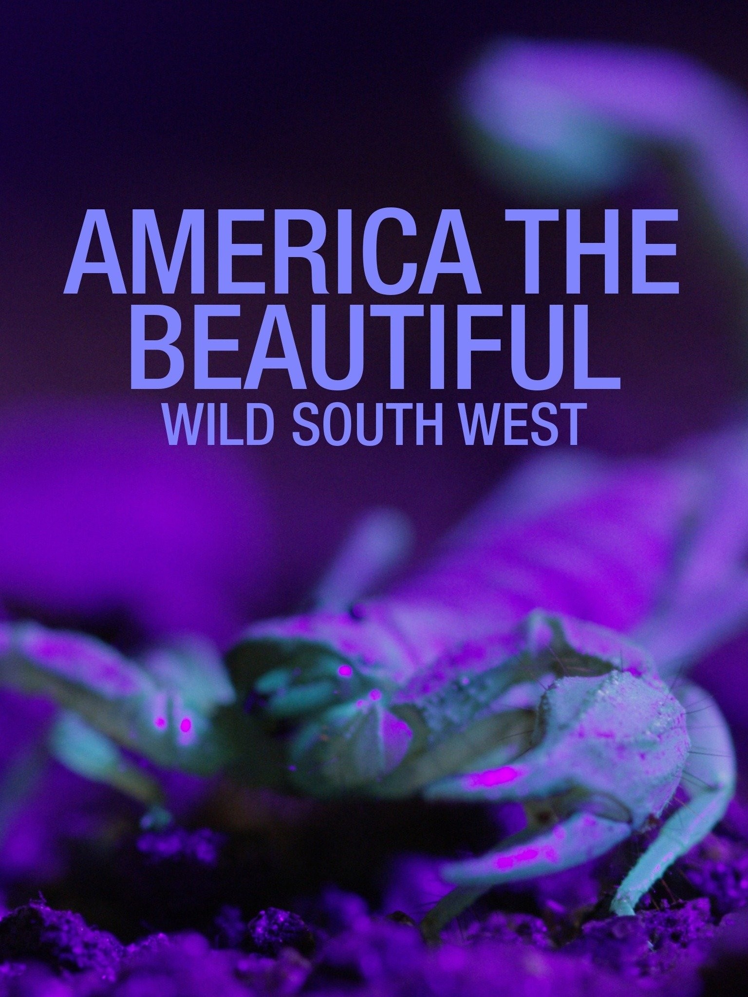 America The Beautiful: Wild South West | Rotten Tomatoes