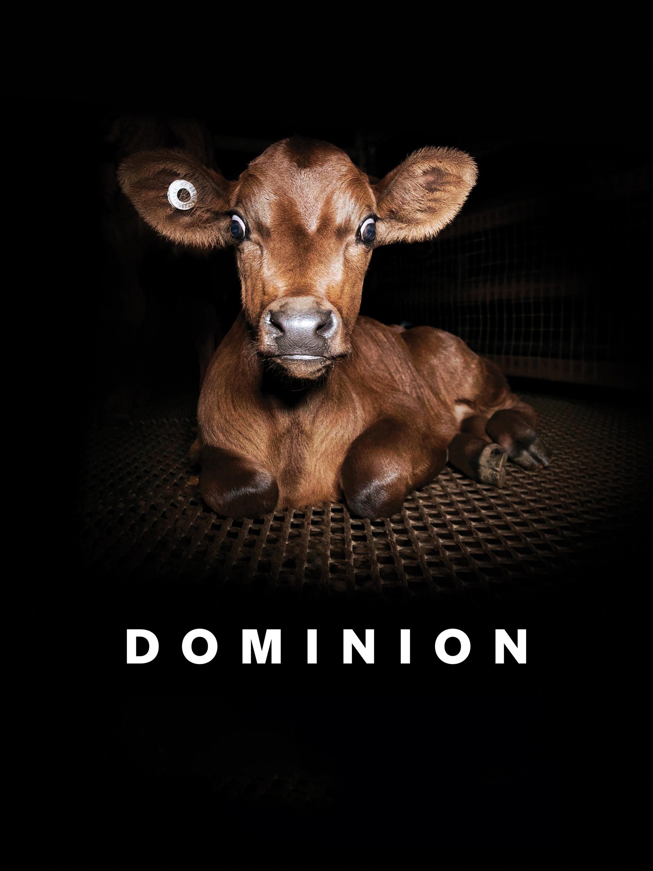 Dominion Pictures | Rotten Tomatoes