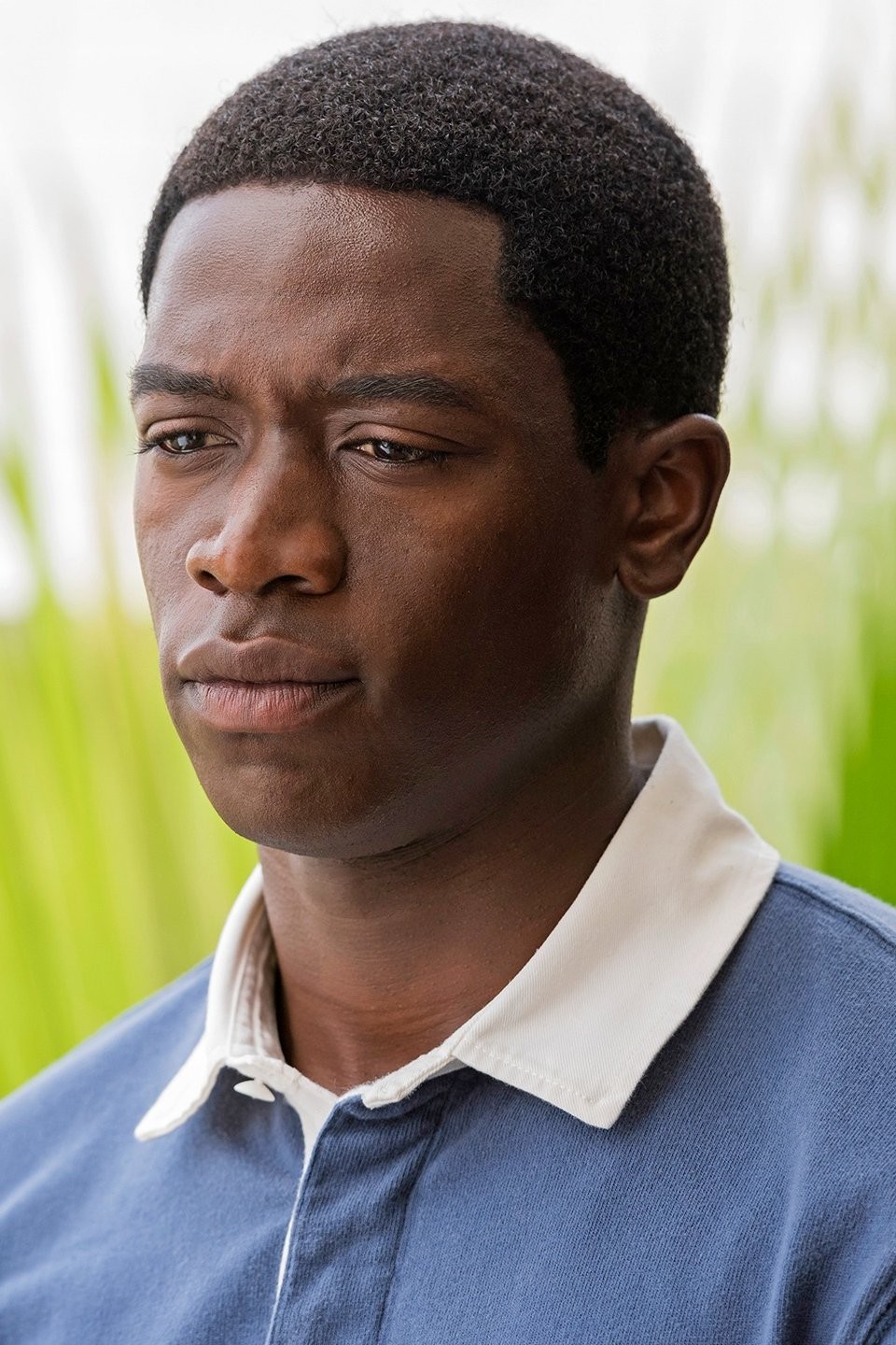 Surrender Pictures - Rotten Tomatoes