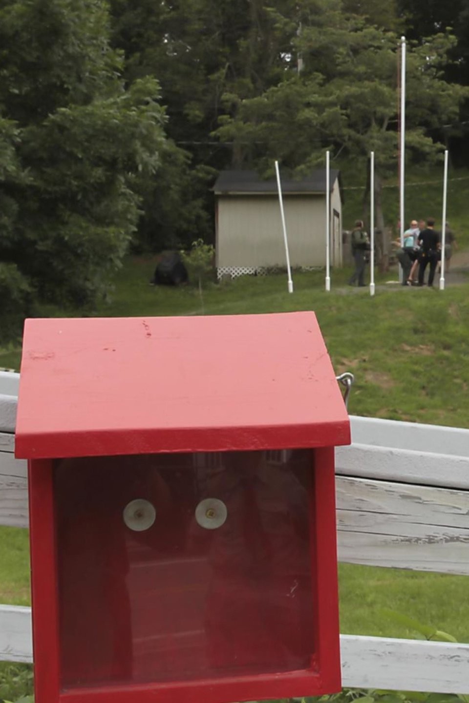 Victory Lap Pictures | Rotten Tomatoes