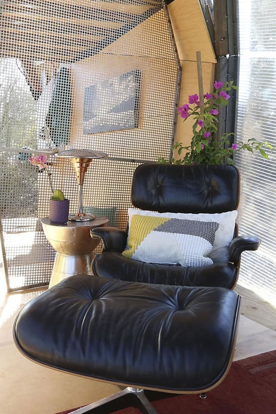 Tiny Desert Paradise Pictures | Rotten Tomatoes