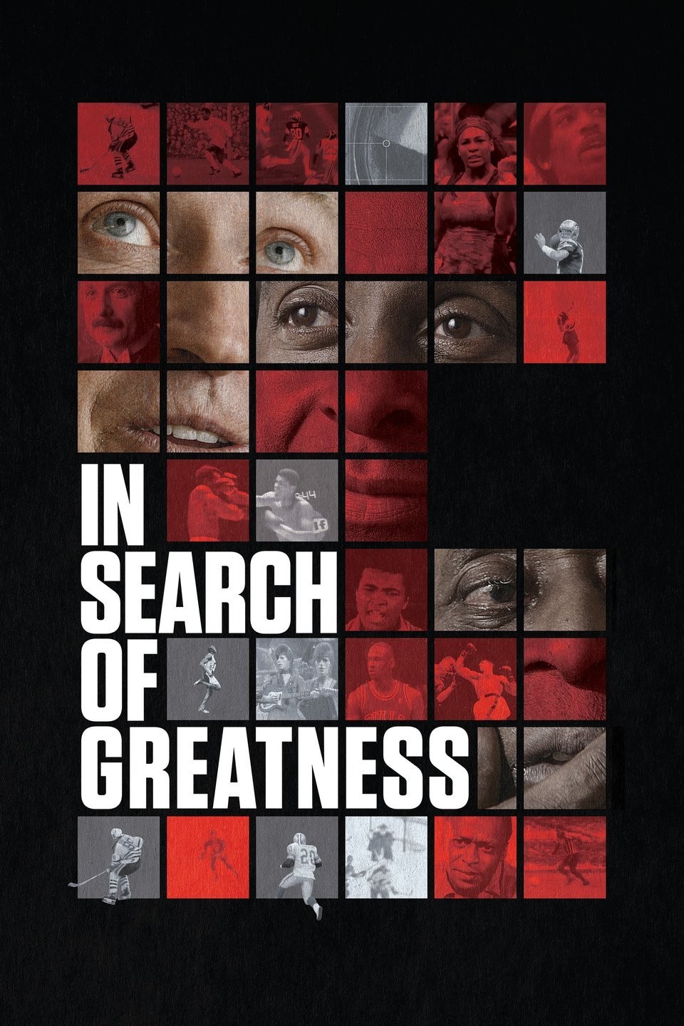 In Search of Greatness | Rotten Tomatoes