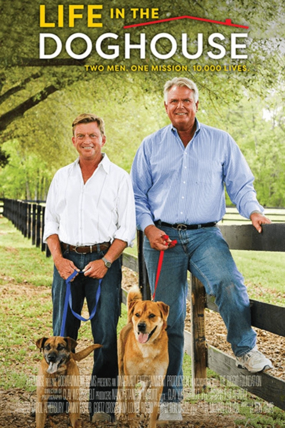 Life in the Doghouse Pictures | Rotten Tomatoes