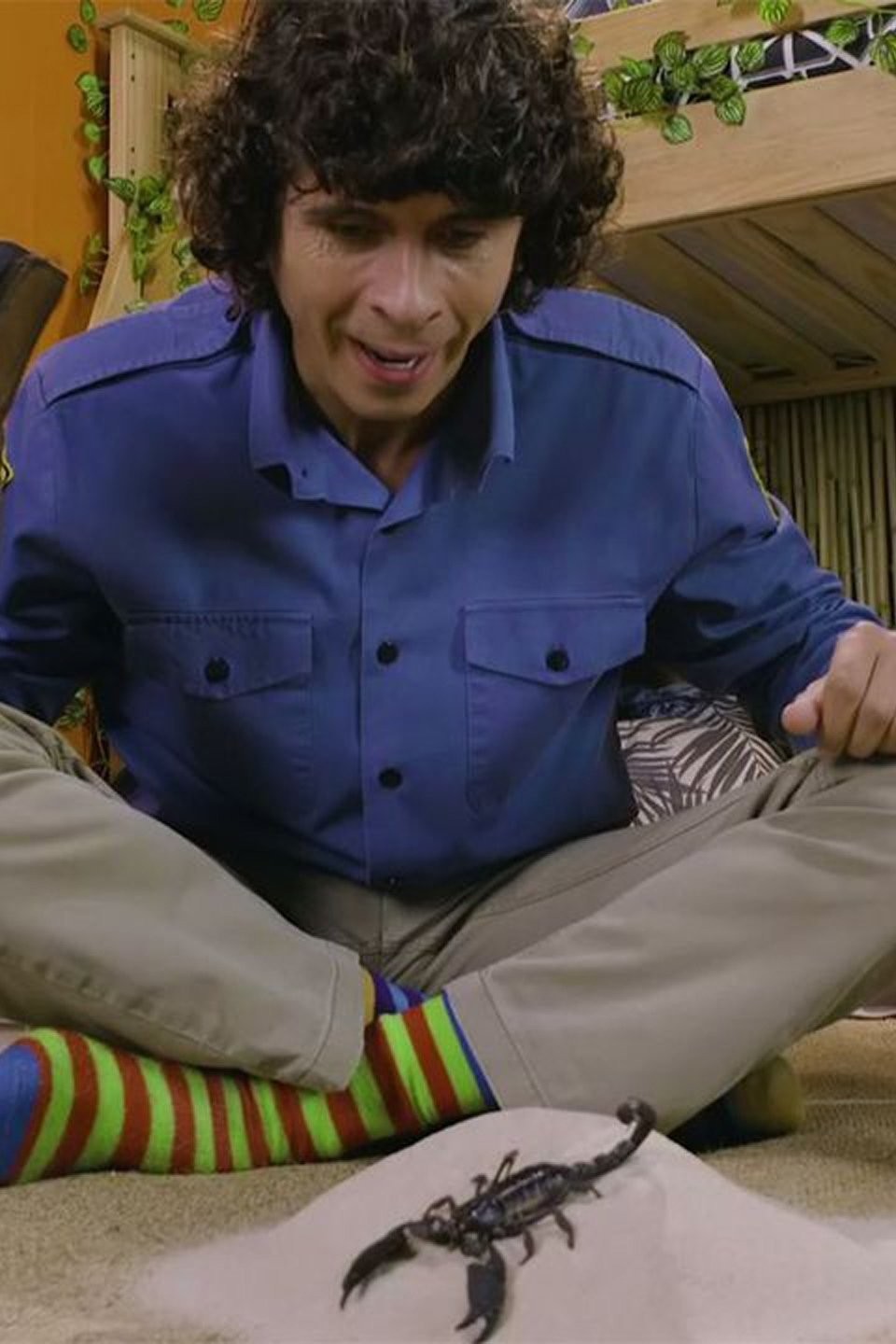 Andy & The Scorpion Pictures - Rotten Tomatoes