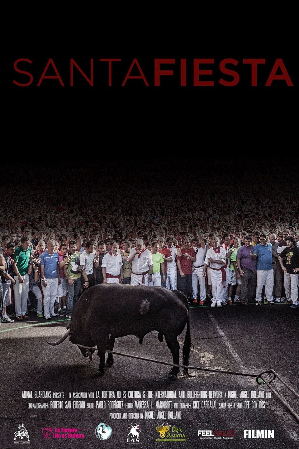 Santa Fiesta Pictures | Rotten Tomatoes