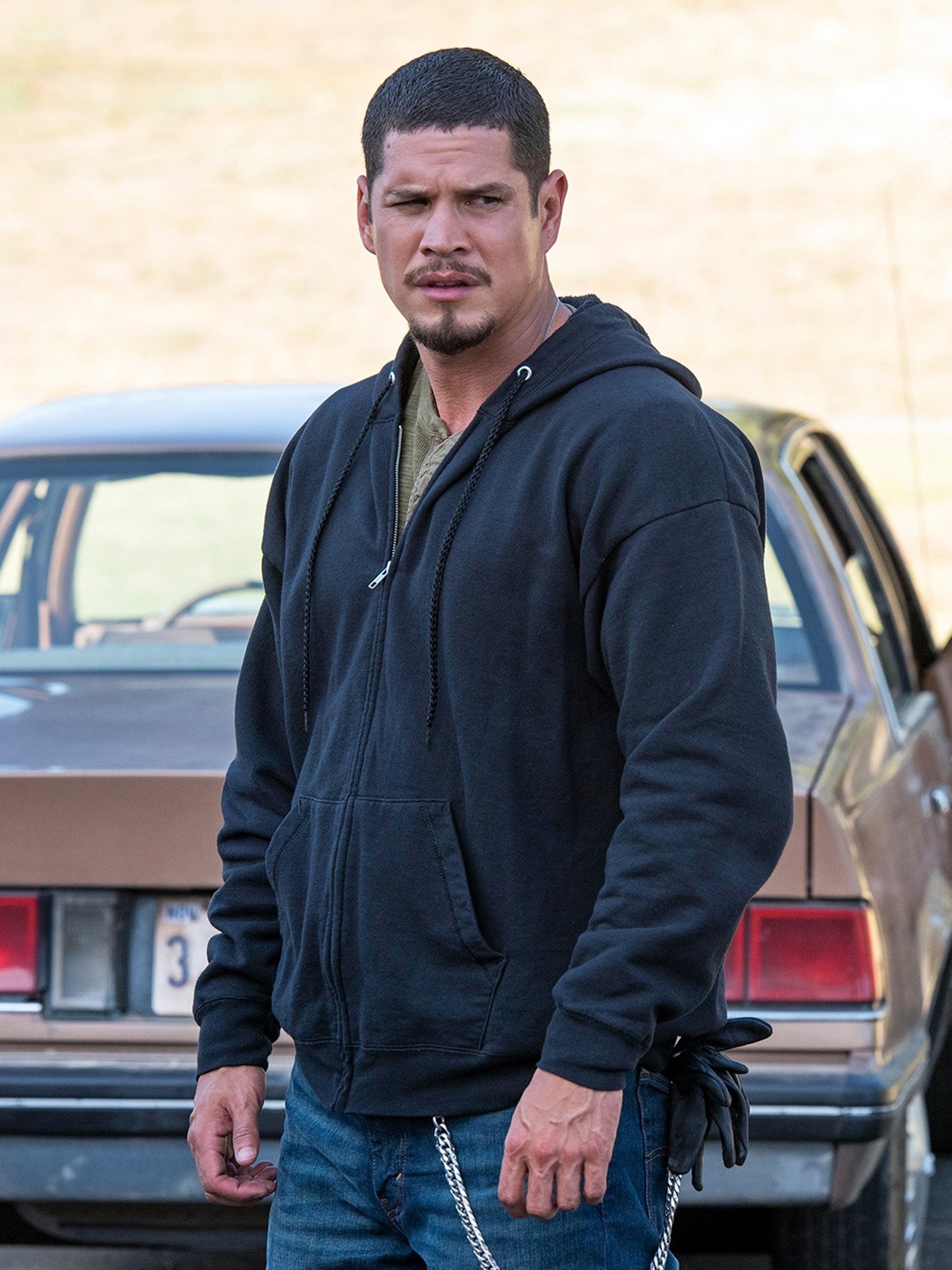 Gato/Mis Pictures | Rotten Tomatoes