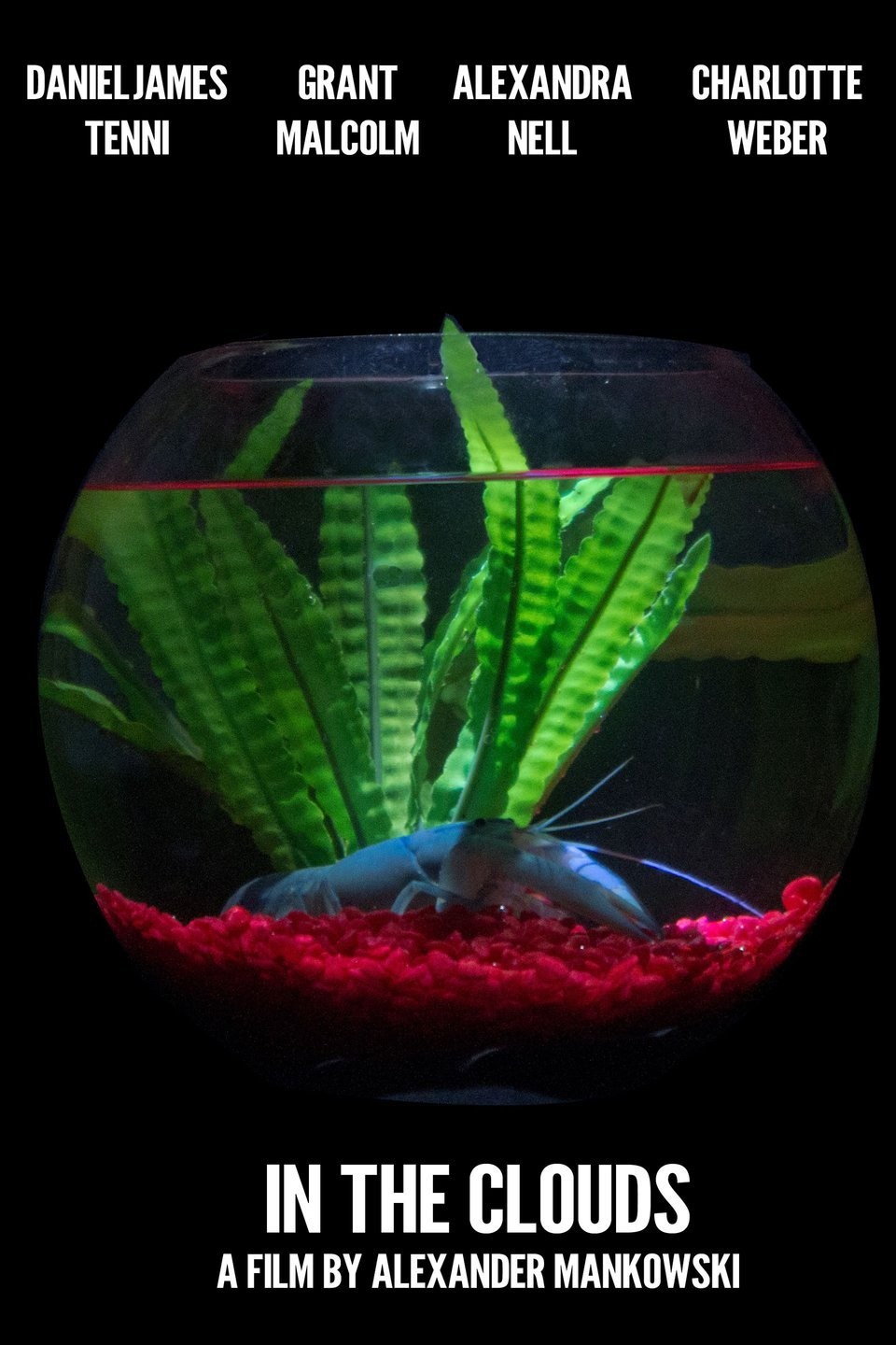 In the Clouds Pictures | Rotten Tomatoes