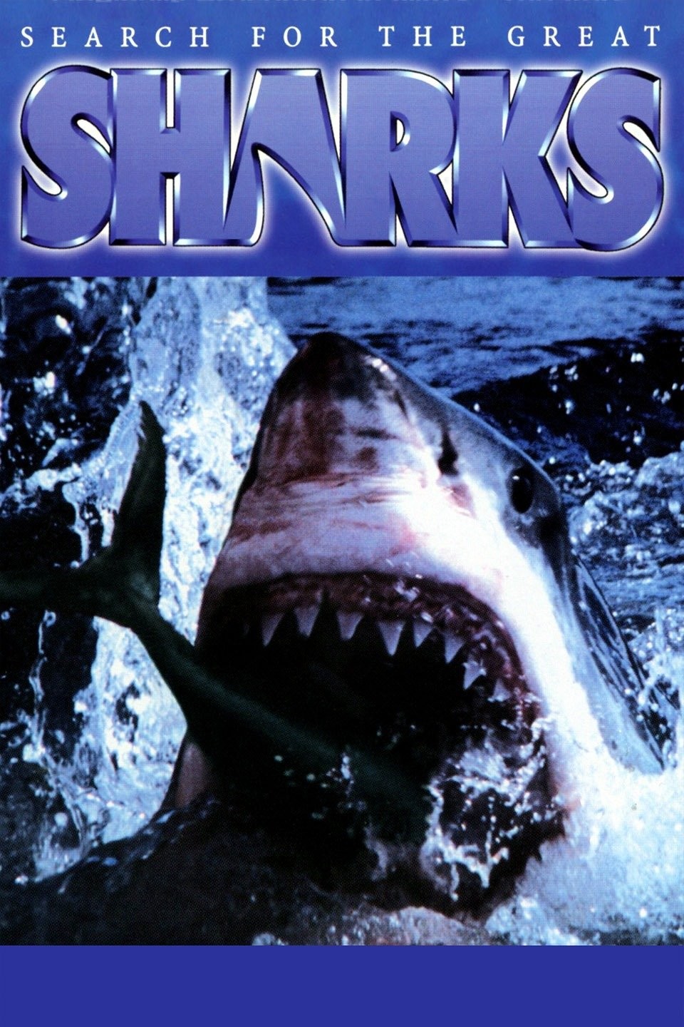 Search for the Great Sharks Pictures | Rotten Tomatoes