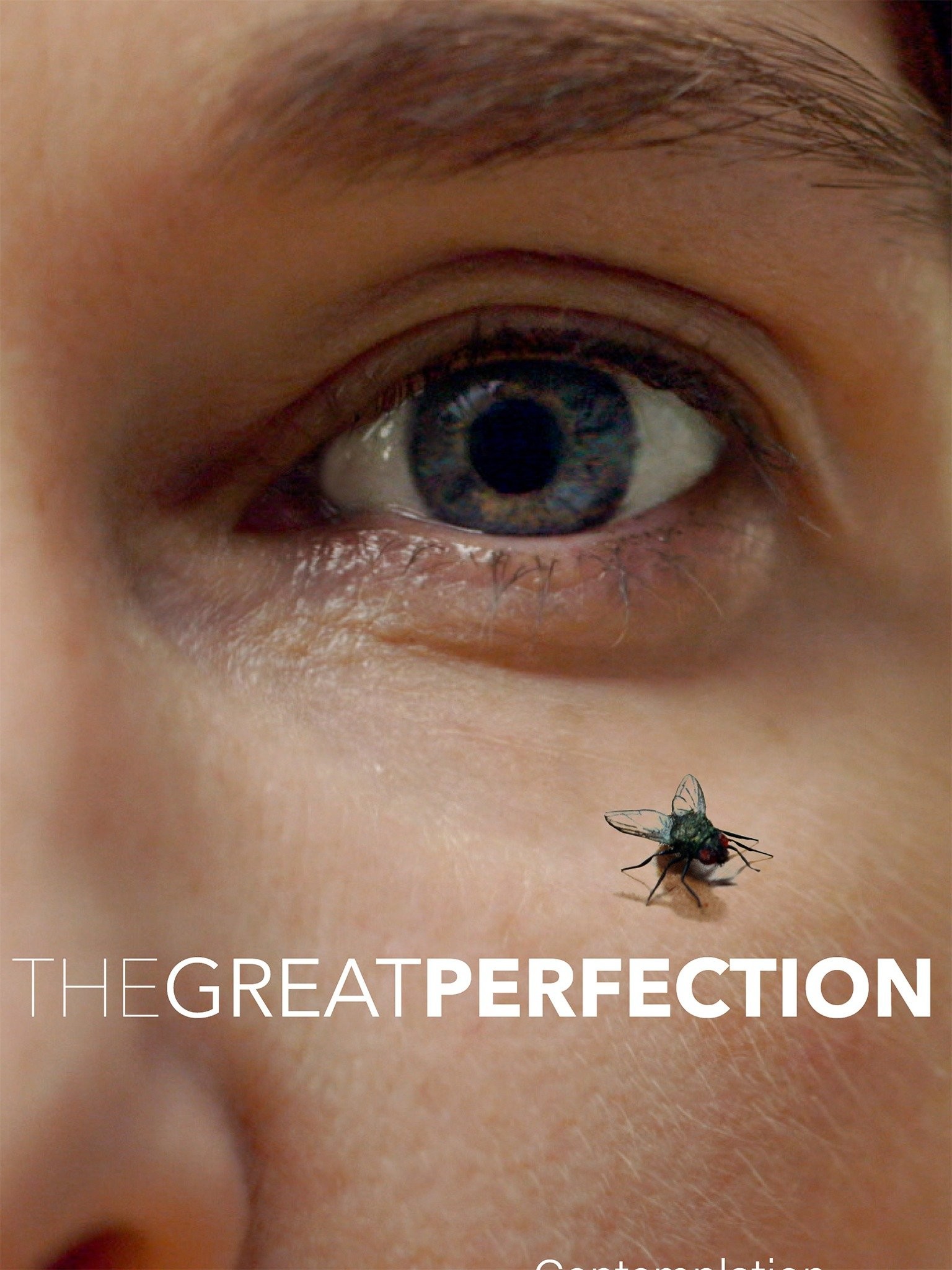 The Great Perfection Pictures | Rotten Tomatoes