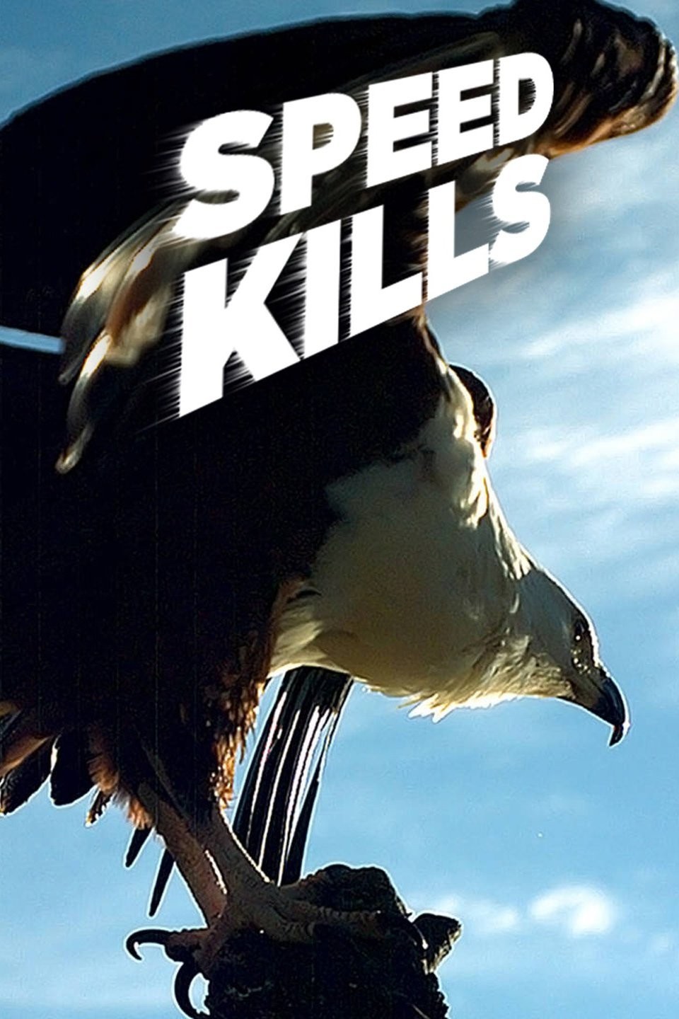 Speed Kills Season 2 | Rotten Tomatoes