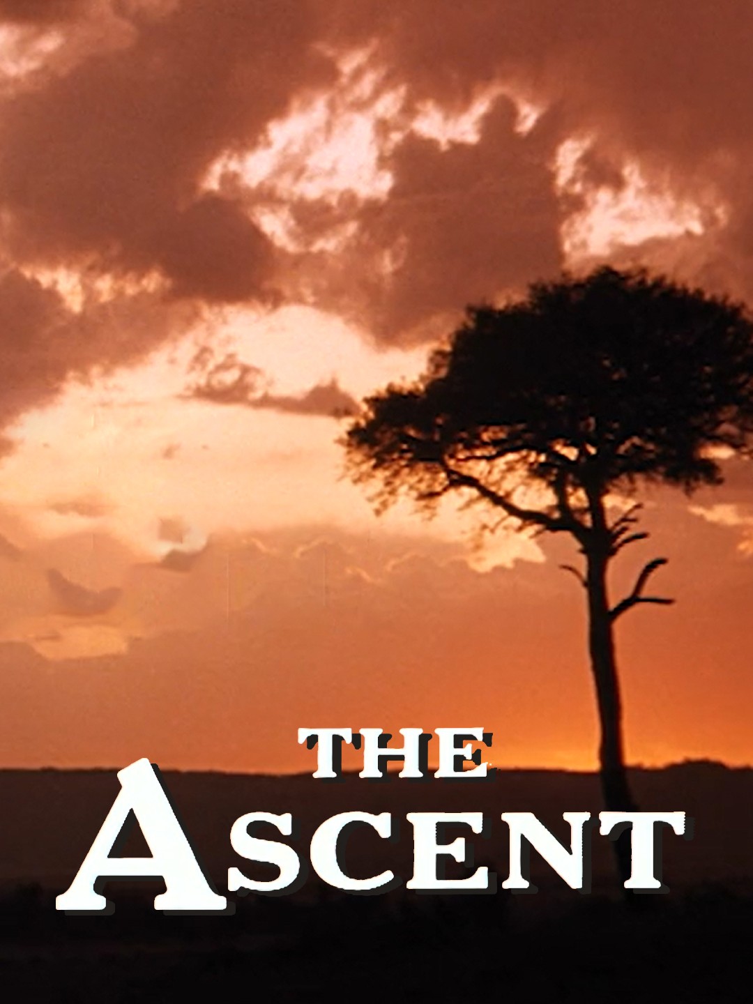 The Ascent Movie 60 Photos - Moonagedaydream.film