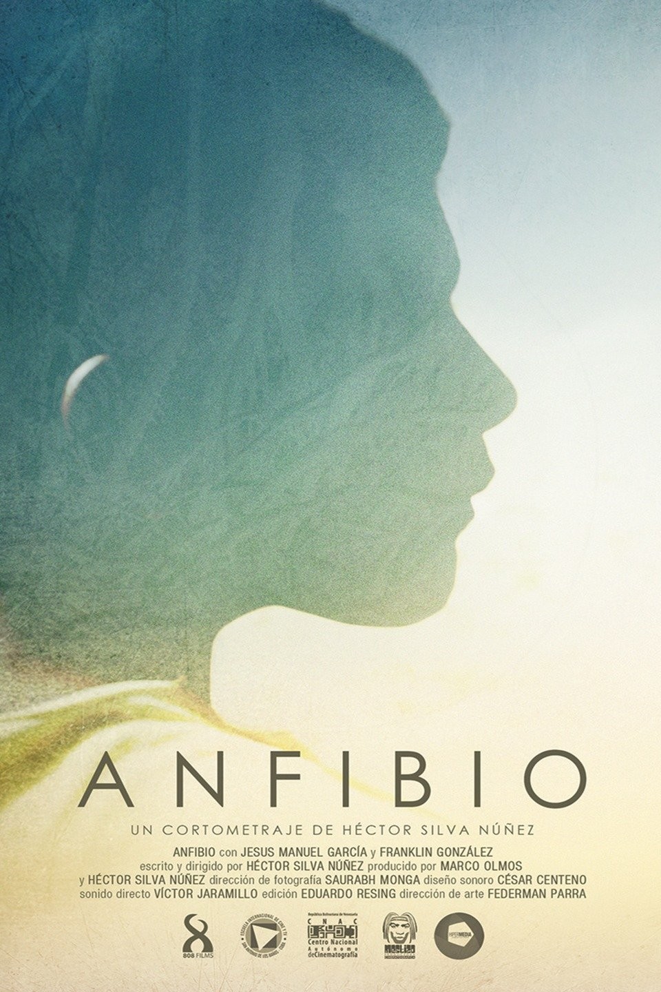 Anfibio Pictures | Rotten Tomatoes