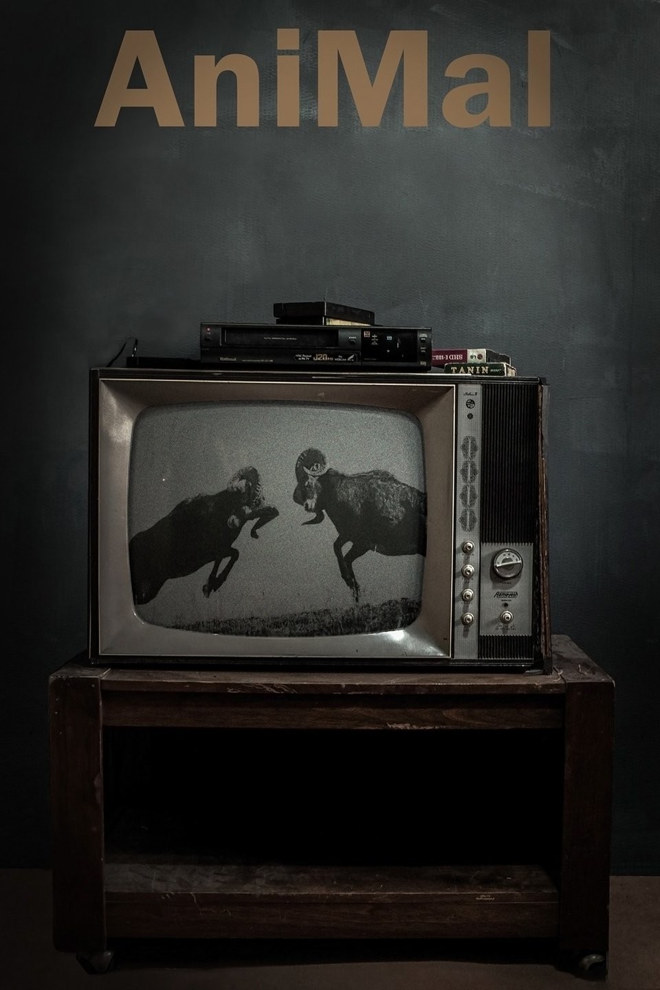 Animal | Rotten Tomatoes