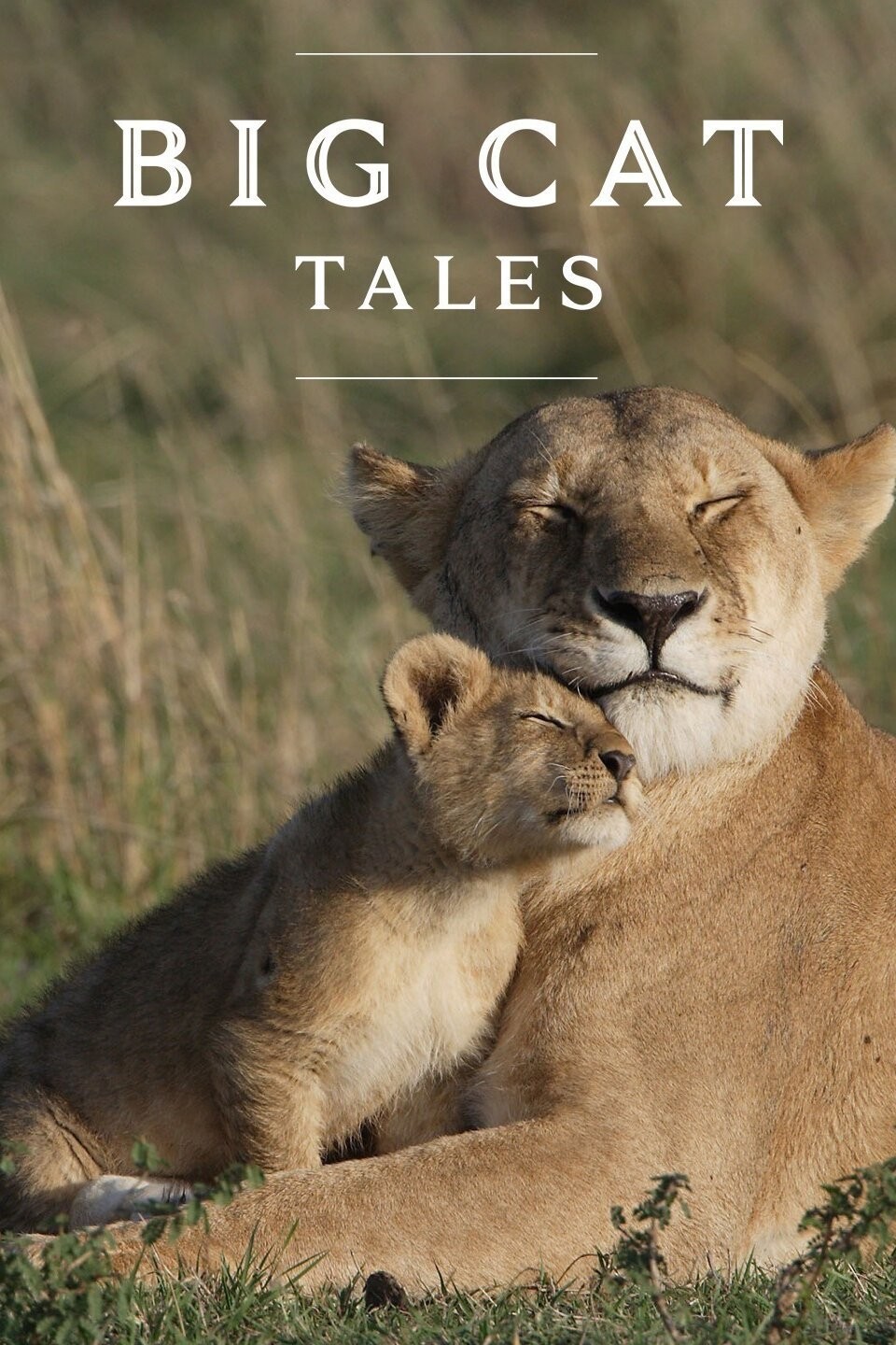 Big Cat Tales - Rotten Tomatoes