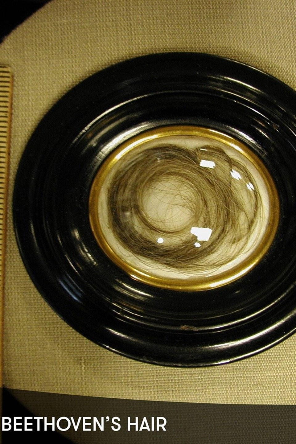 Beethoven's Hair | Rotten Tomatoes