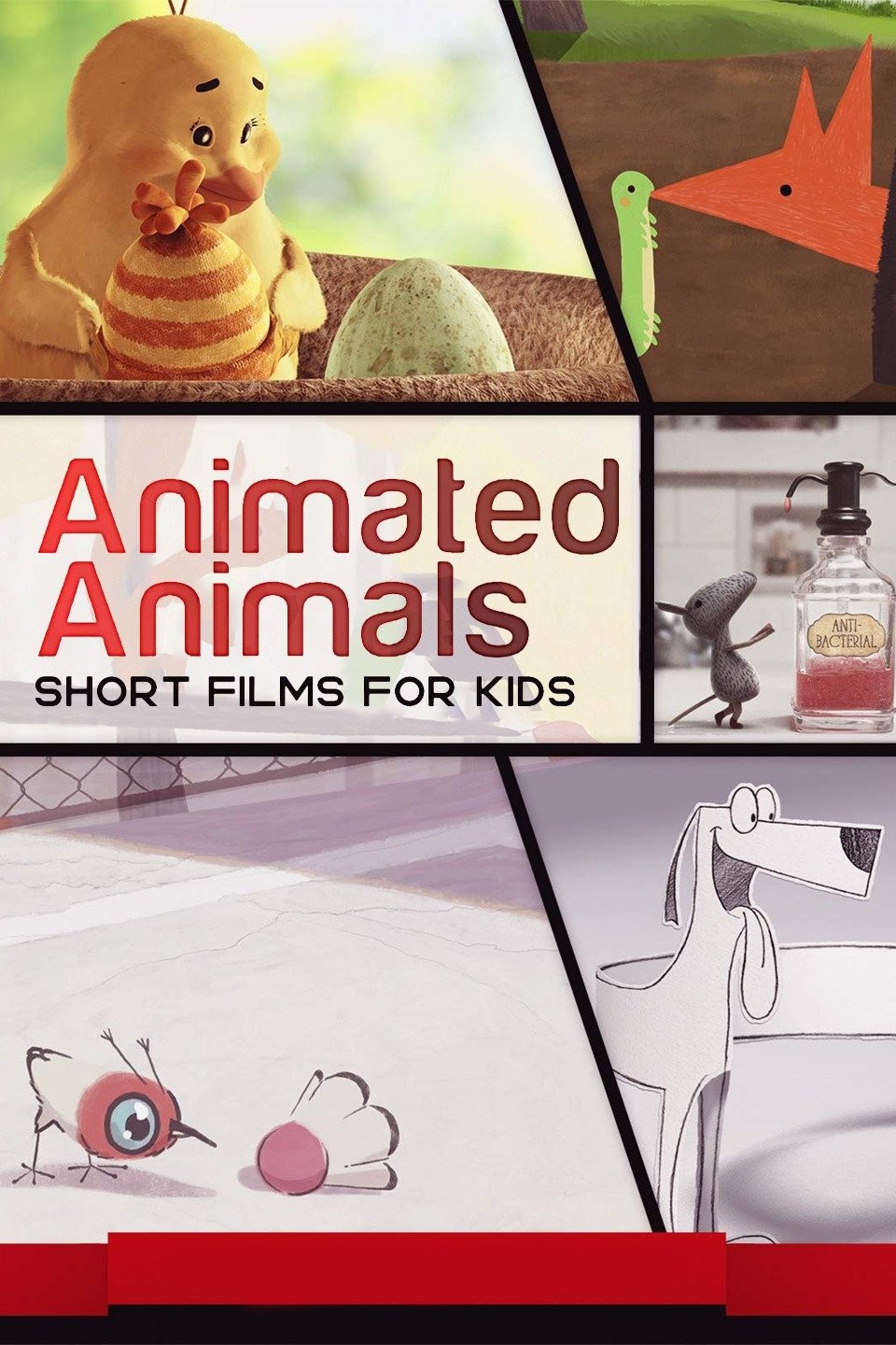 Animated Animals - Short Films for Kids | Rotten Tomatoes