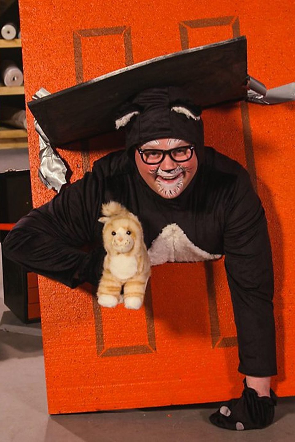 DIY Dan's Cat Flap Pictures - Rotten Tomatoes