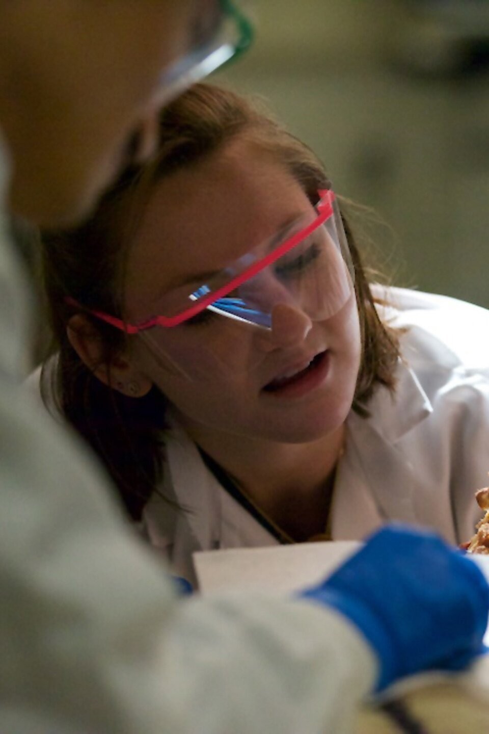 Lisa Nevins's Instagram, Twitter & Facebook on IDCrawl