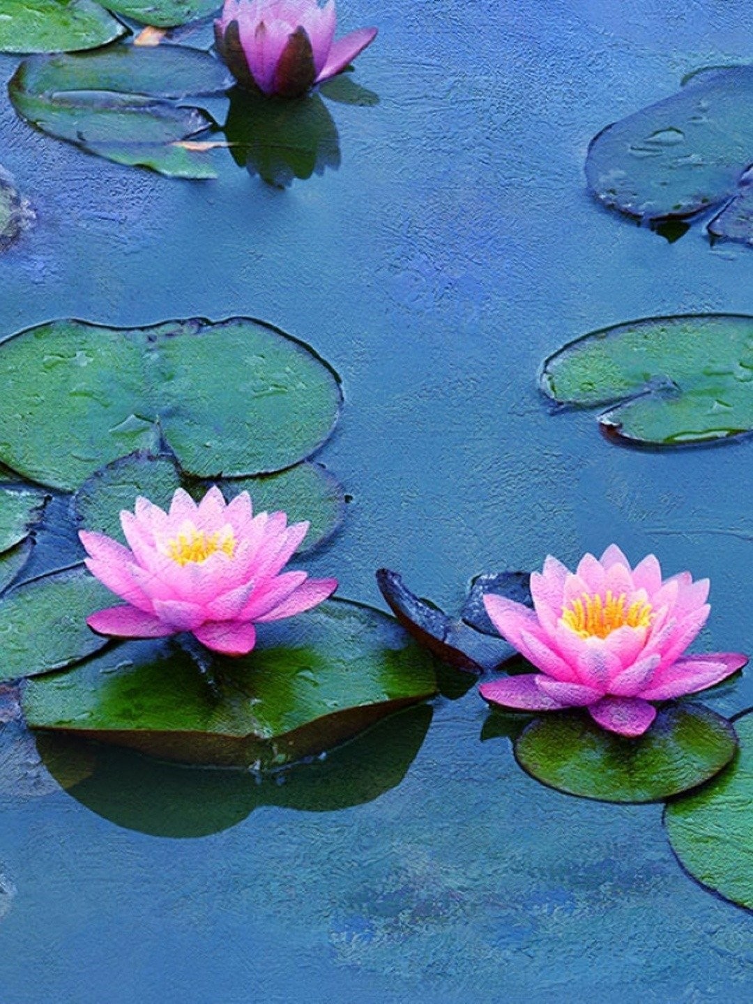 Water Lilies Movie Cast