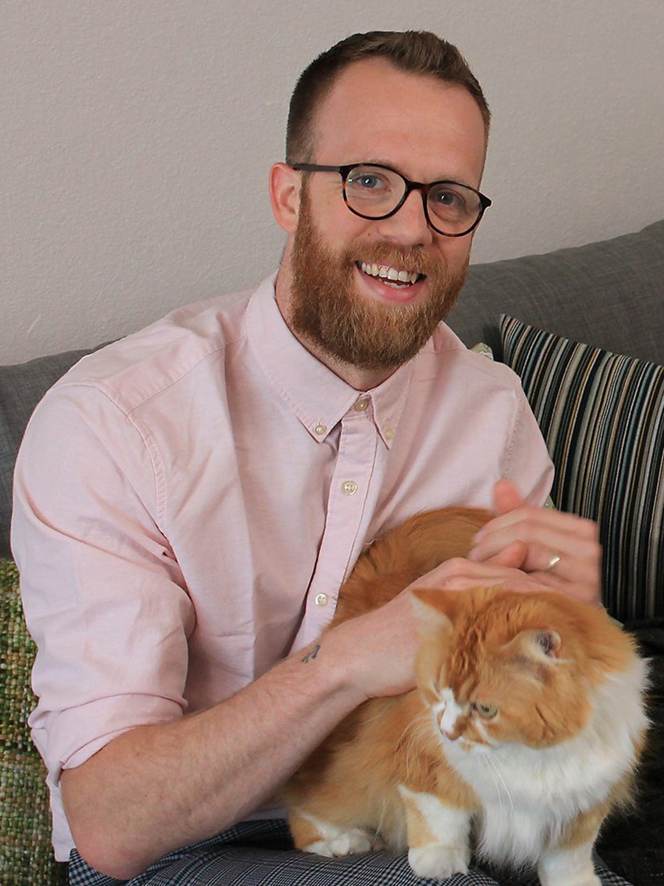 Boo the Cat Pictures | Rotten Tomatoes