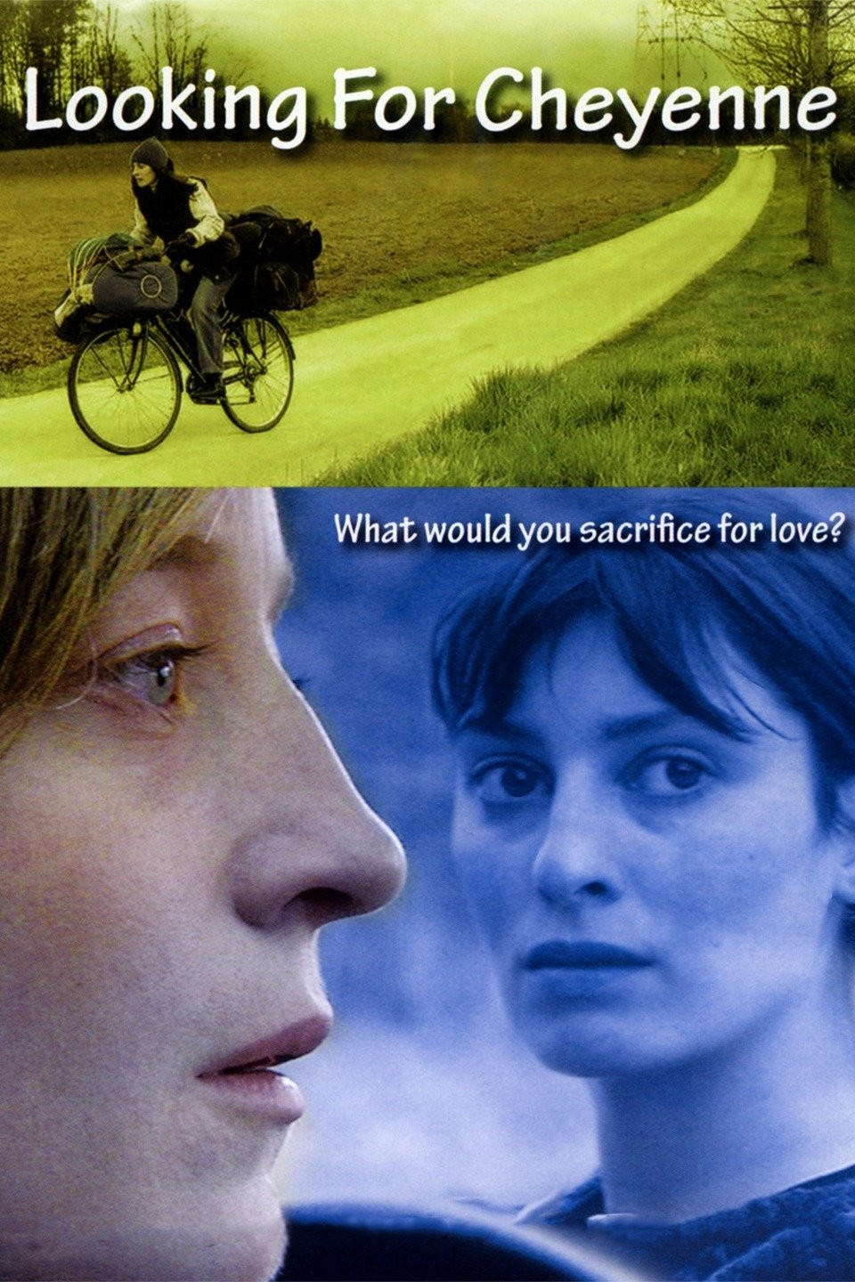 Looking for Cheyenne | Rotten Tomatoes