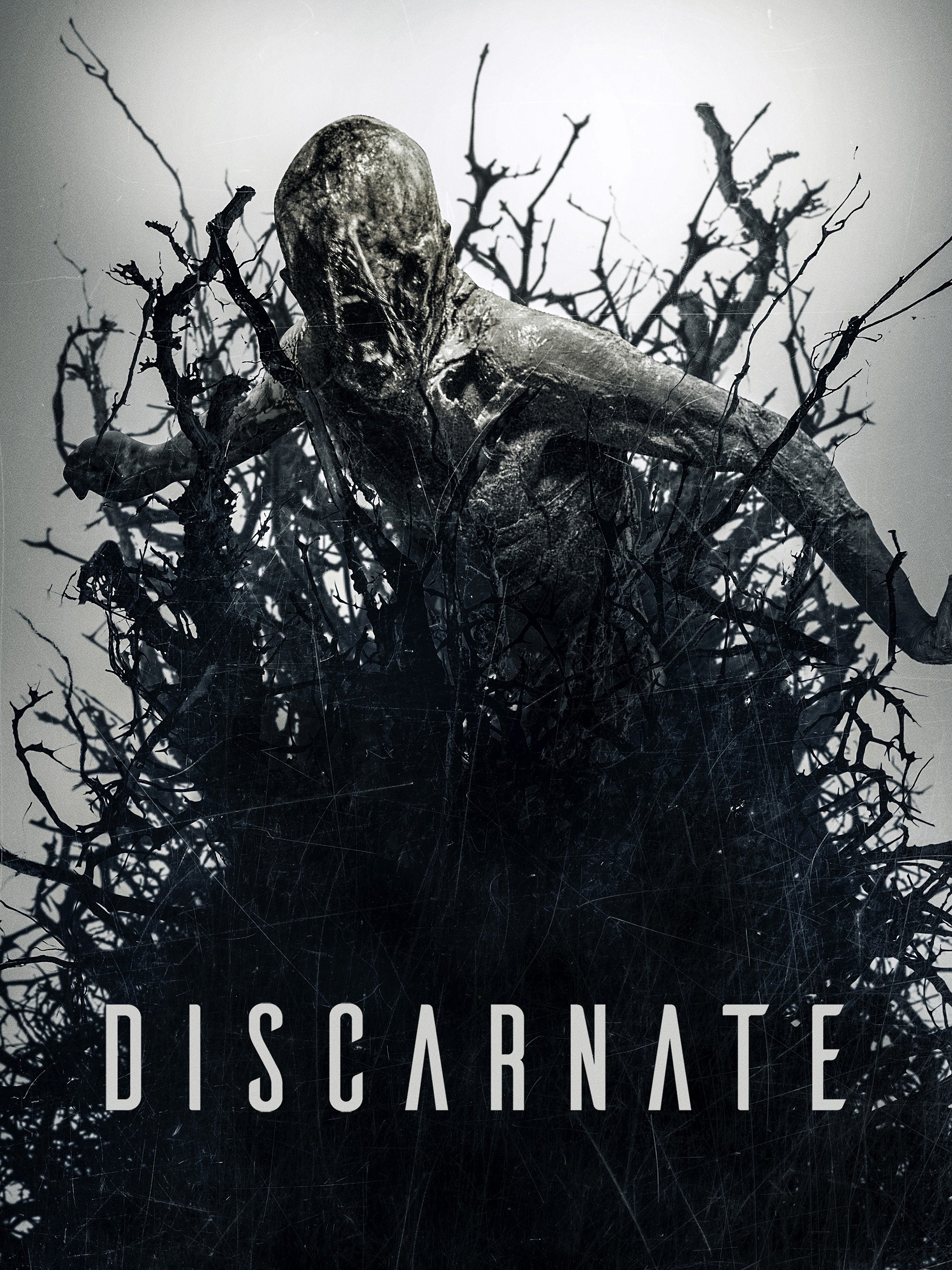 Discarnate Pictures | Rotten Tomatoes