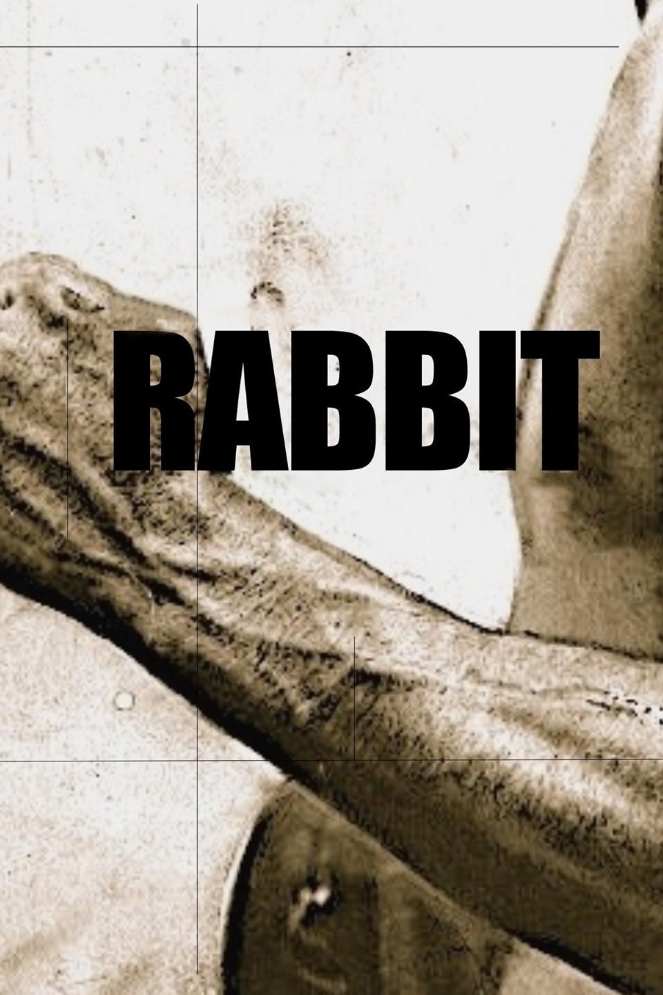 Rabbit | Rotten Tomatoes