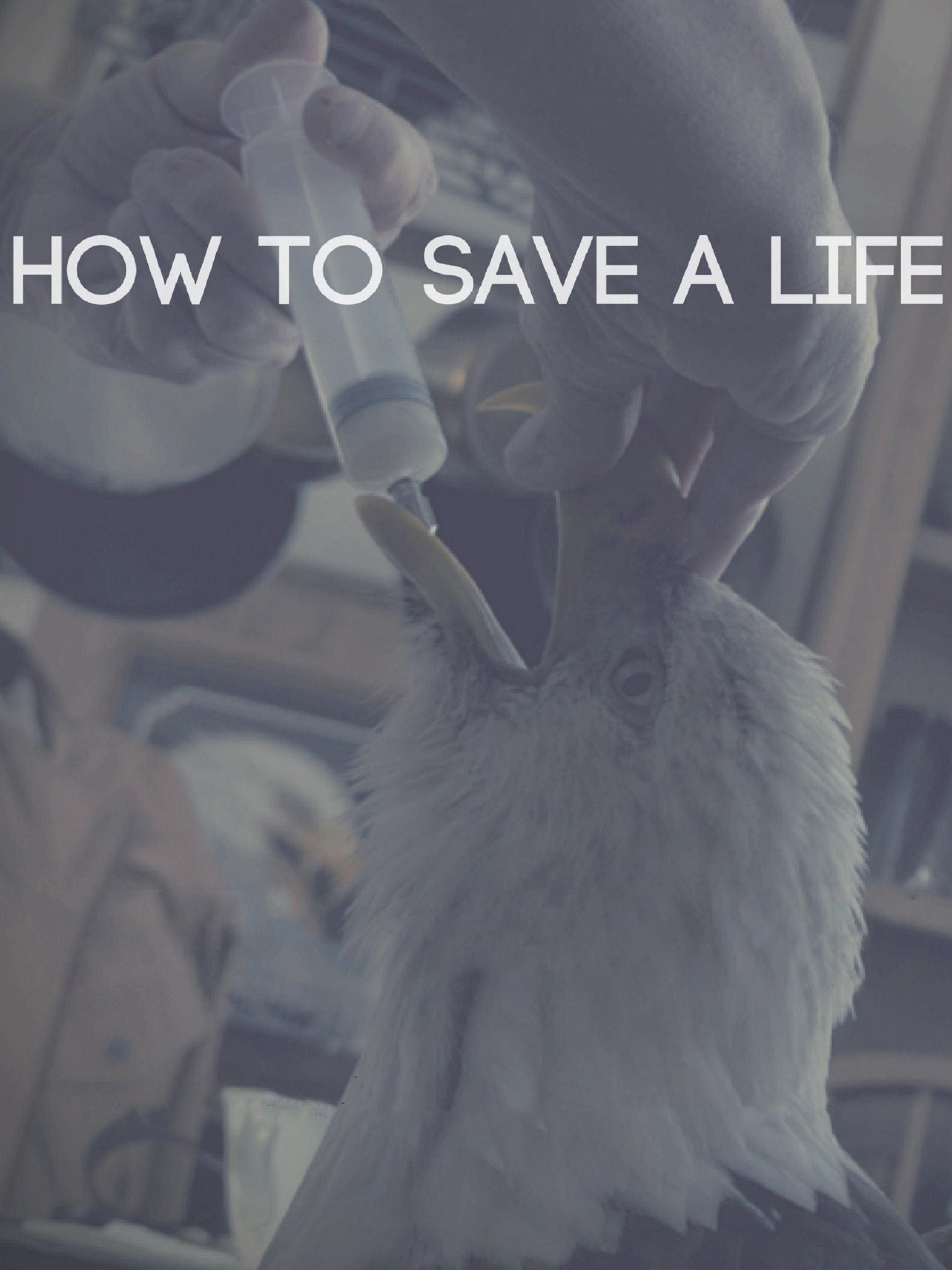 How to Save a Life Pictures | Rotten Tomatoes