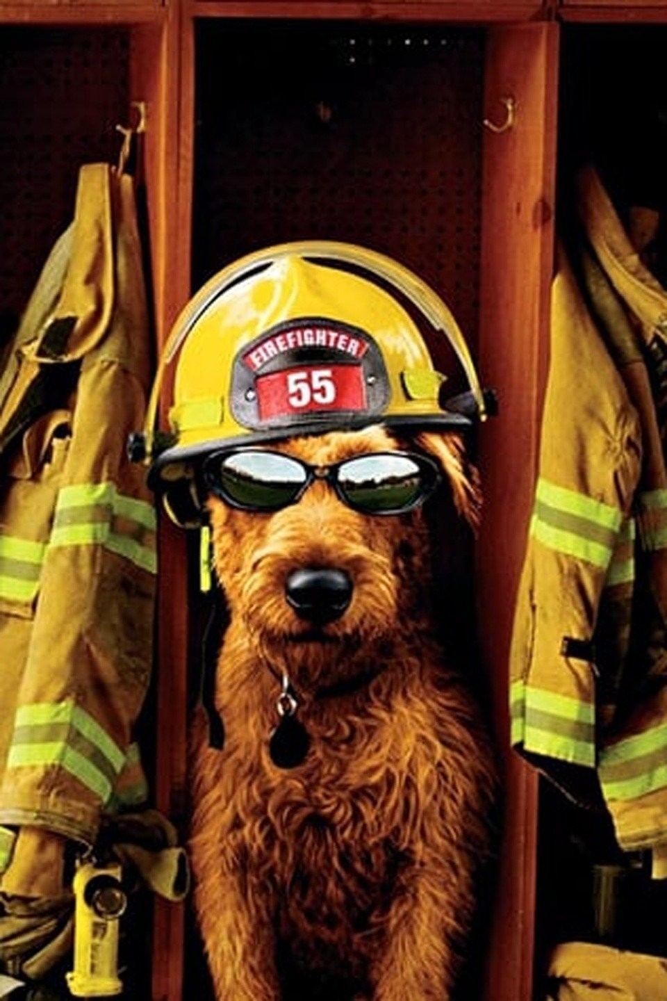 Firehouse Dog Rex