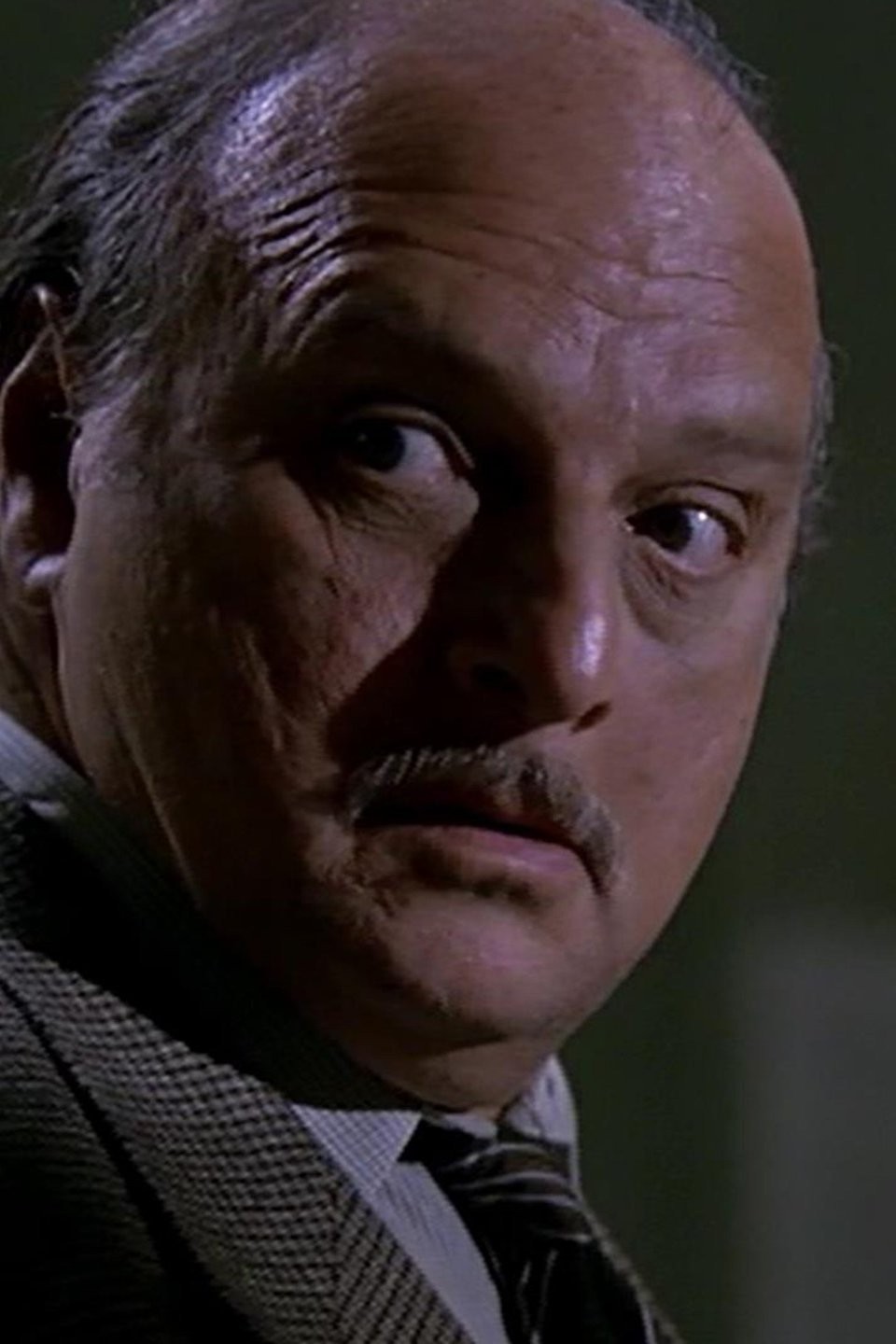 Lie Like a Rug Pictures | Rotten Tomatoes