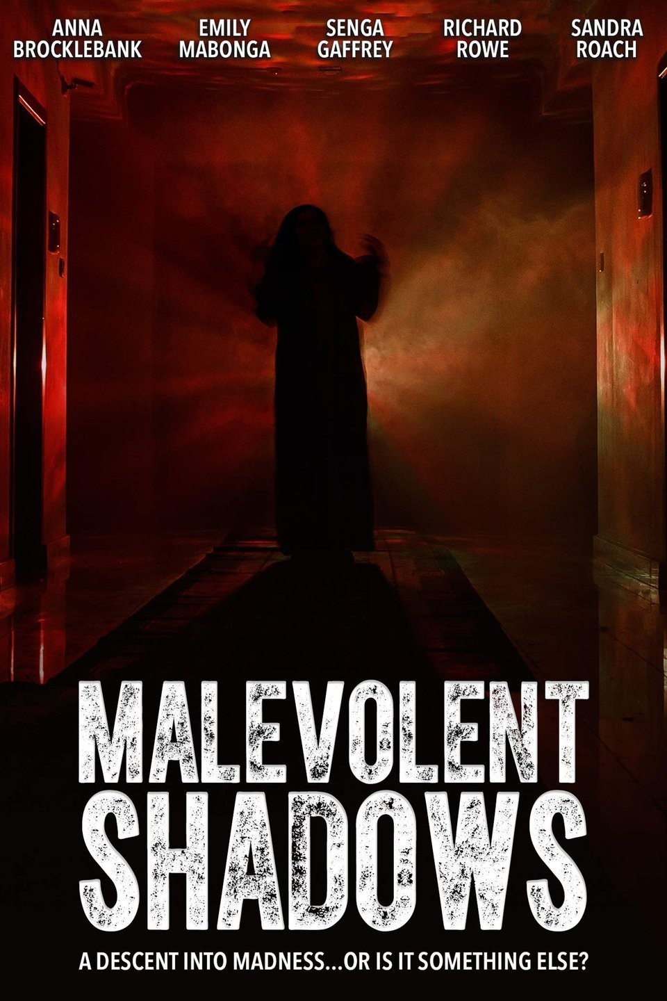 Malevolent Shadows | Rotten Tomatoes