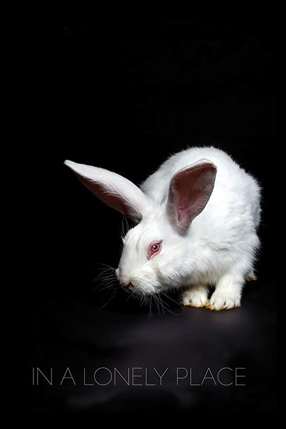 In a Lonely Place | Rotten Tomatoes