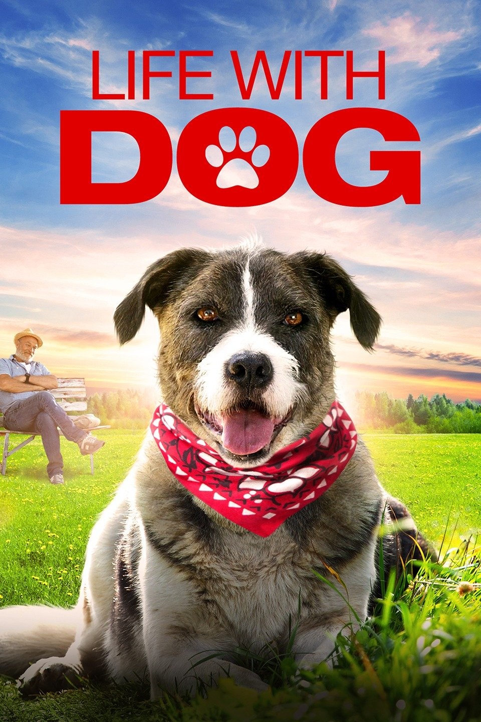 Life With Dog Pictures | Rotten Tomatoes