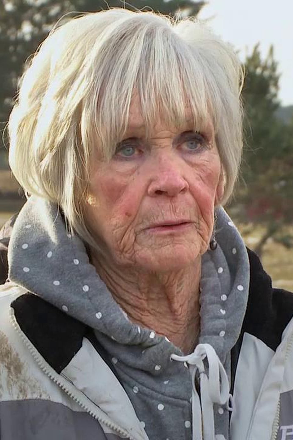 A Bitter Quill to Swallow Pictures - Rotten Tomatoes