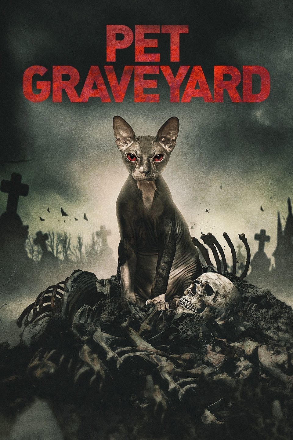 Pet Graveyard | Rotten Tomatoes