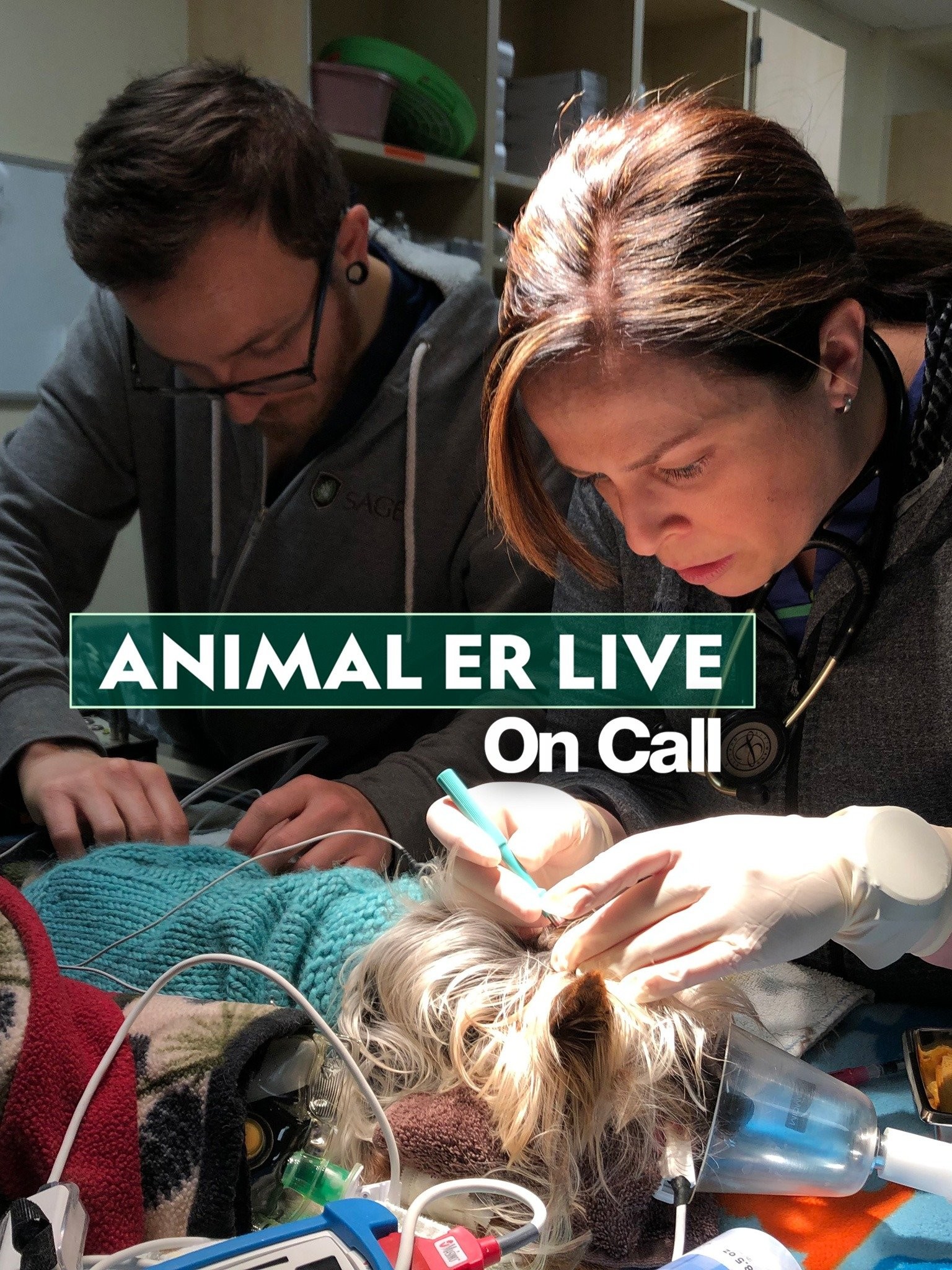 Animal ER Live: On Call | Rotten Tomatoes