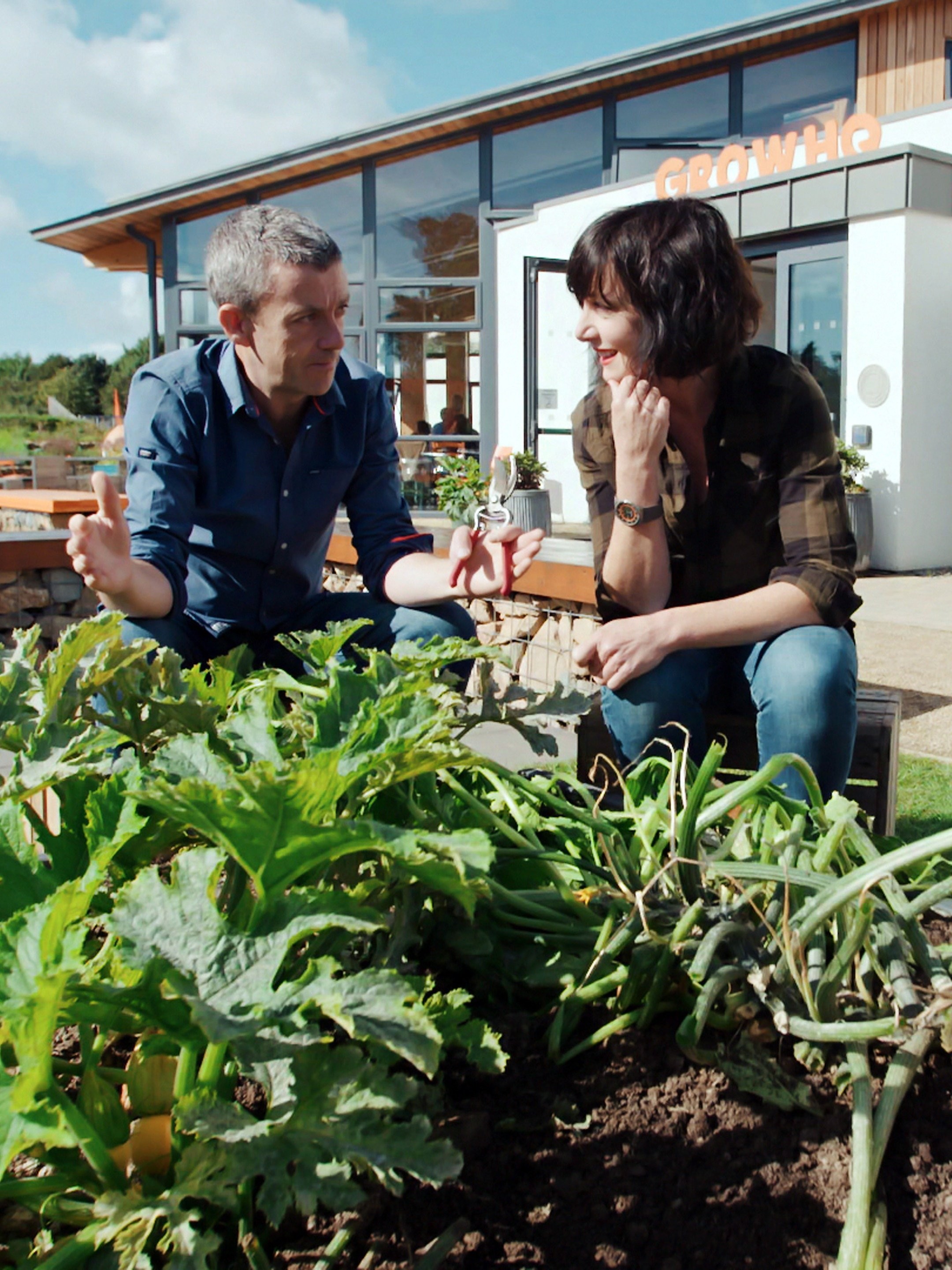 Courgettes Pictures - Rotten Tomatoes