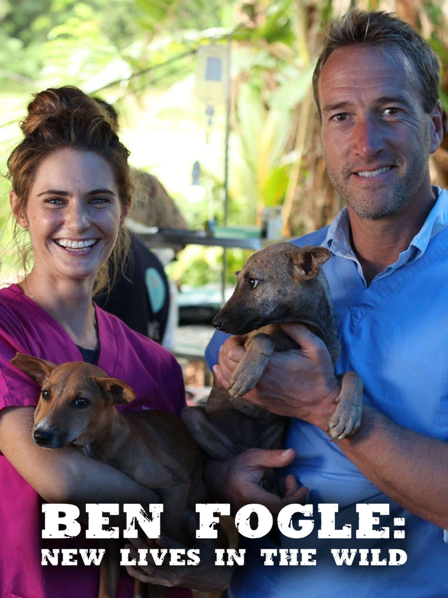 Ben Fogle: New Lives in the Wild Season 9 | Rotten Tomatoes