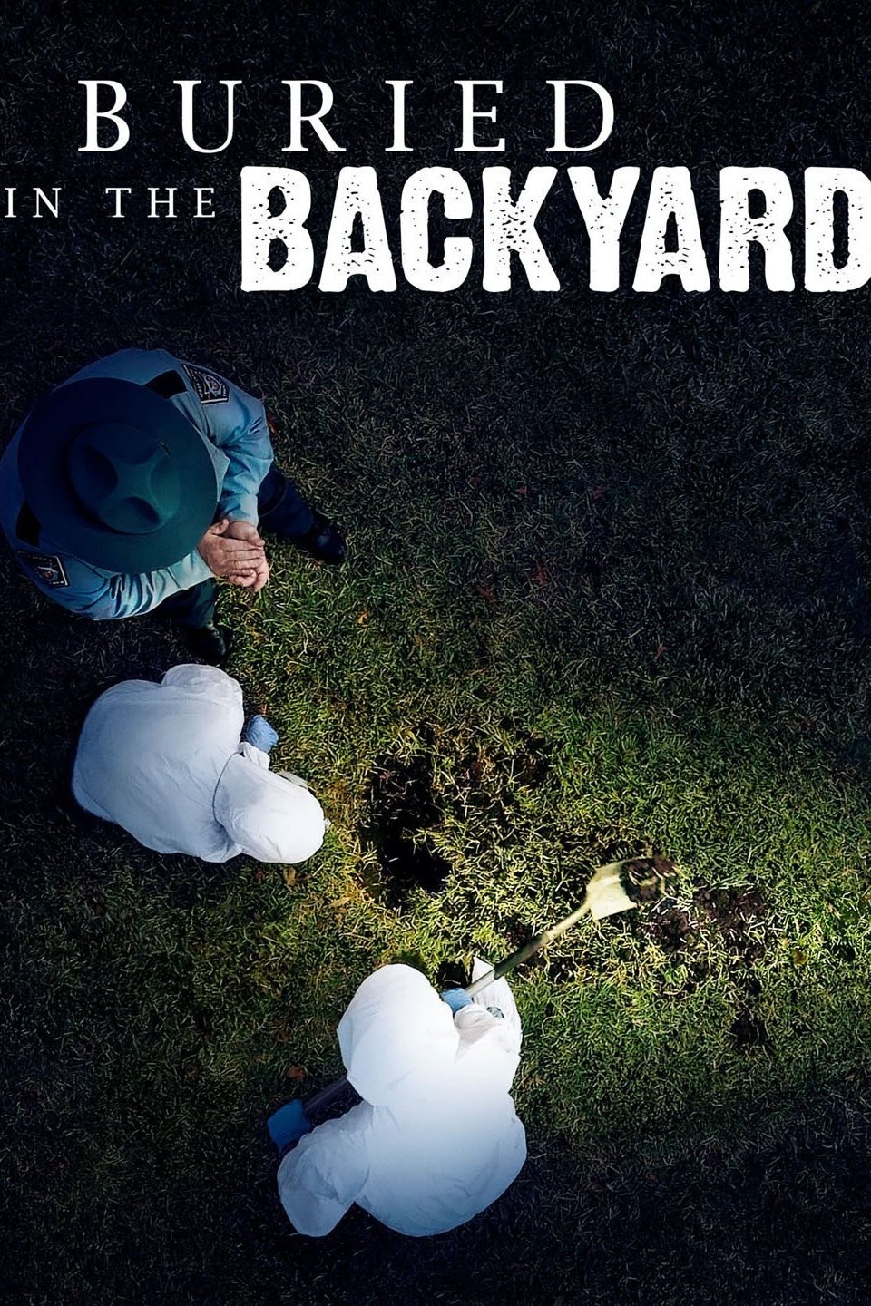Tangled Web Pictures | Rotten Tomatoes
