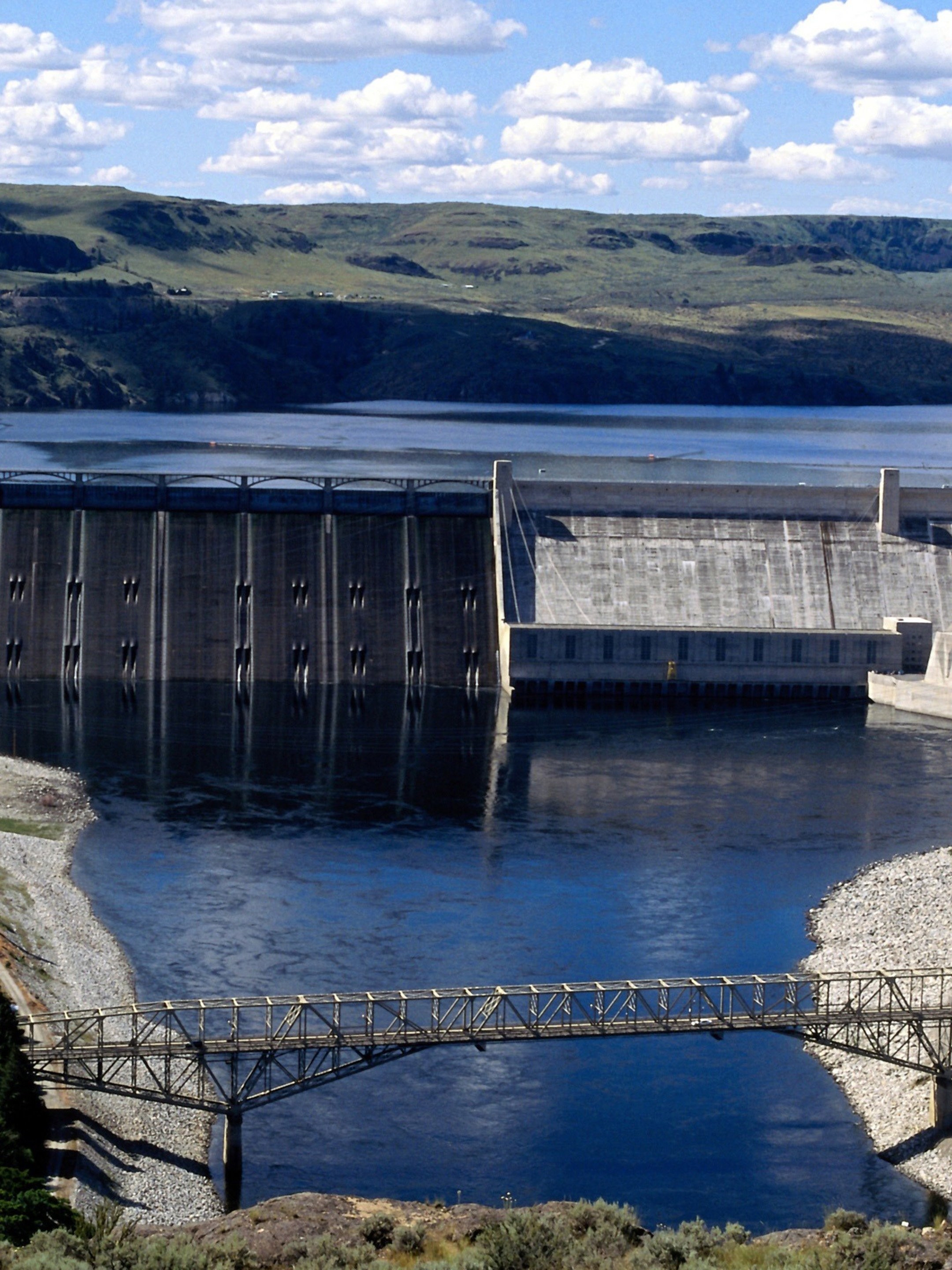 Dams Pictures | Rotten Tomatoes