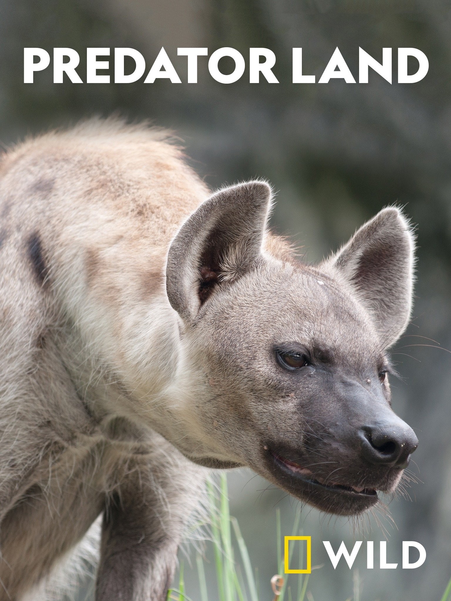 Predator Land: Season 1 Pictures | Rotten Tomatoes