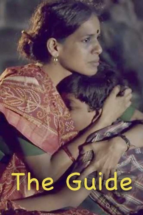 The Guide | Rotten Tomatoes