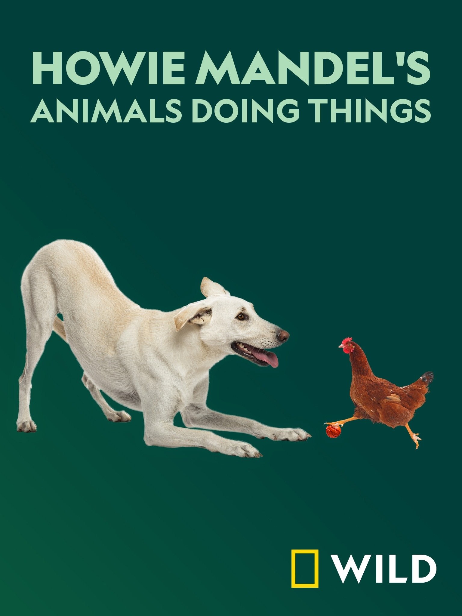 Howie Mandel's Animals Doing Things Season 2 | Rotten Tomatoes