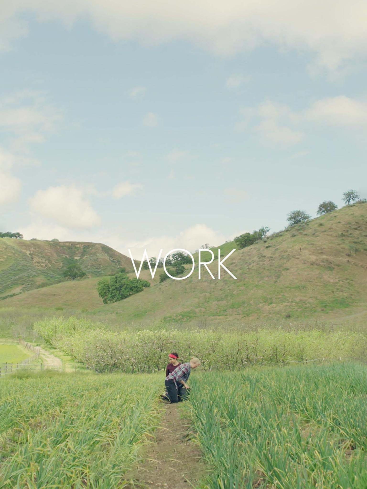 Work Pictures | Rotten Tomatoes