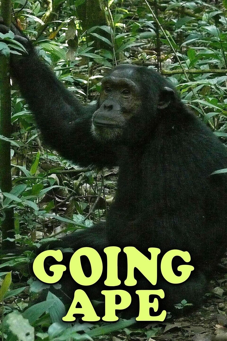 Going Ape Season 1 | Rotten Tomatoes